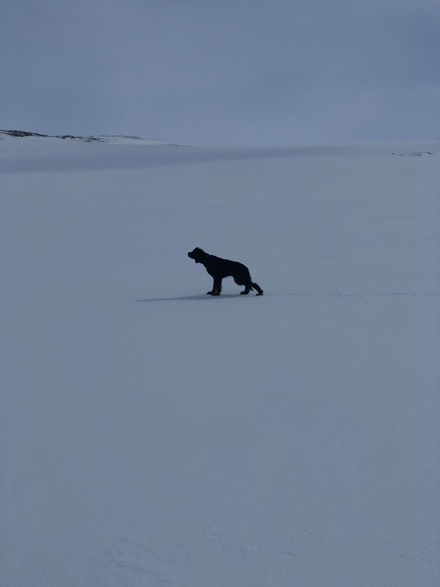 Arrangementer – Vefsn Jeger- og Fiskerforening – VJFF, jakt, fiske ...