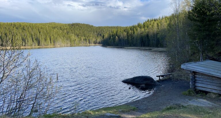 Arrangementer for juni 2025 – Vefsn Jeger- og Fiskerforening – VJFF ...